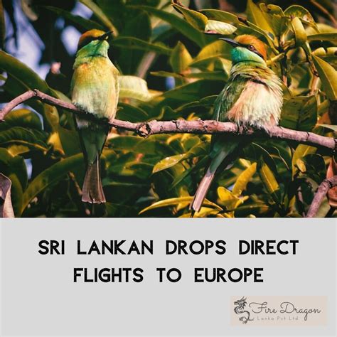Sri Lankan Airlines Drops Direct Flights To Sri Lanka From Europe