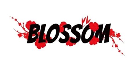 Blossom 고수의 디제잉 레슨 서비스 대전 서구 숨고 숨은고수
