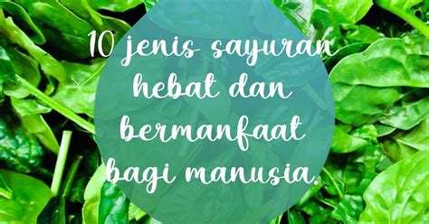 10 Jenis Sayuran Hebat Dan Bermanfaat Bagi Manusia Berikut Daftarnya