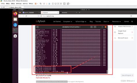 【基于Ubuntu下Yolov5的目标识别】保姆级教程 | 虚拟机安装 - Ubuntu安装 - 环境配置(Anaconda/Pytorch/Vscode/Yolov5) |全过程图文by ...