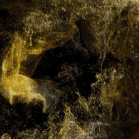 Particle Advection Behance