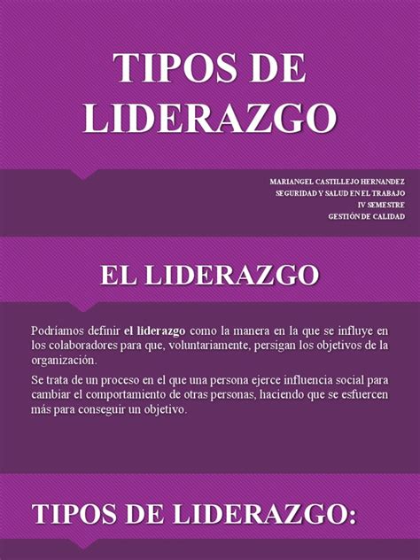 Tipos De Liderazgo Pdf Liderazgo Business
