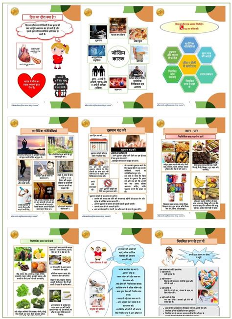 Prototype And Some Content Of The Educational Booklet Download Scientific Diagram