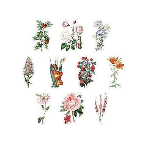 Stiker Bunga Aesthetic Agette
