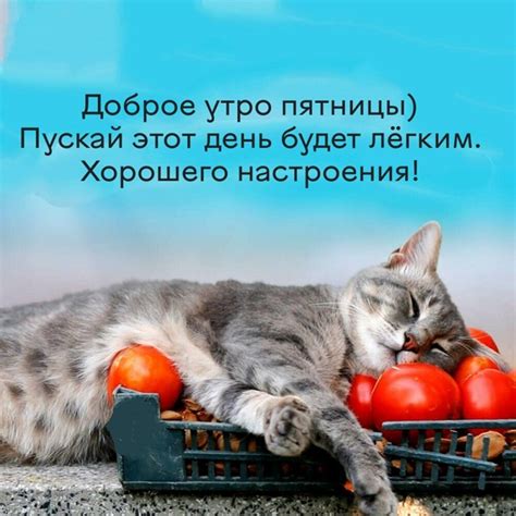 Картинки с Добрым утром Пятницы