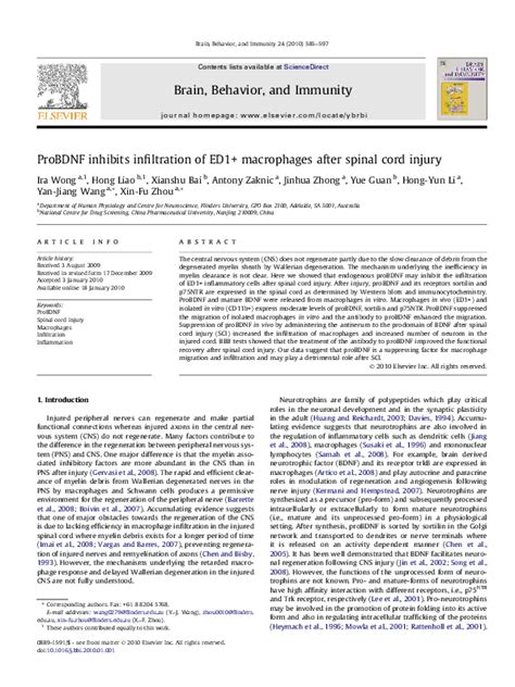 Pdf Probdnf Inhibits Infiltration Of Ed1 Macrophages After Spinal