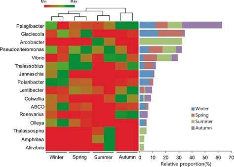 Heat Map 16s Rrna Data Analysis Next Generation Sequencing And