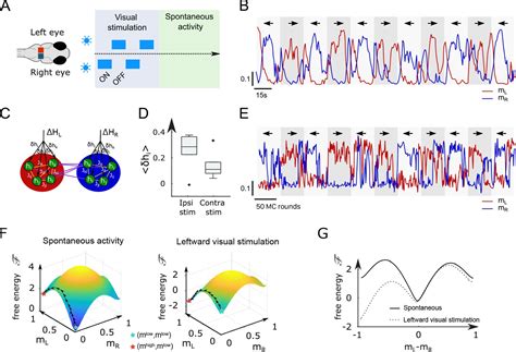 emergence of time persistence in a data driven neural network model elife