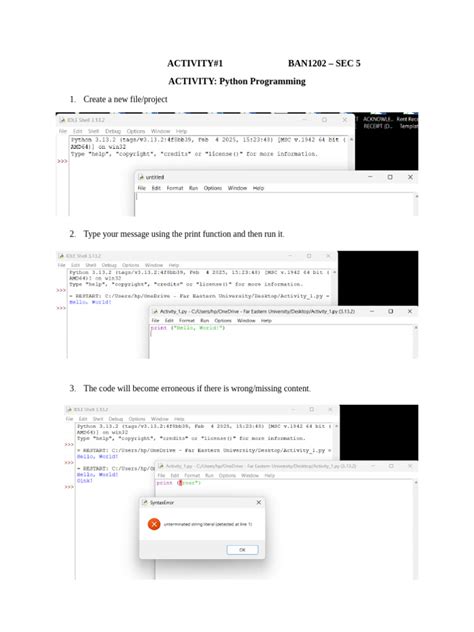 Python Programming Basics Activity Pdf