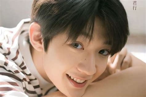 Daftar Film Dan Drama Yang Dibintangi Wu Jun Ting Aktor Tampan China Terkenal Yang Kini Jadi