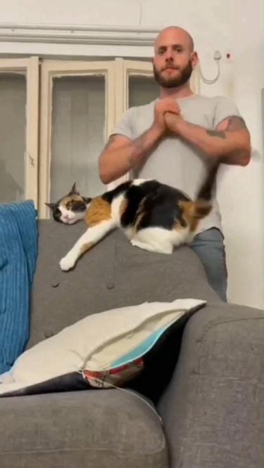 Massage Time Funny Cat Funny Cats Cat Memes Best Cat S