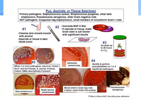 Specimen Processingppt