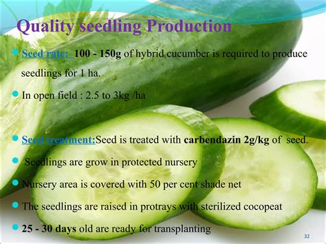 Cucumber Production Technology Ppt Gardening Home And Garden