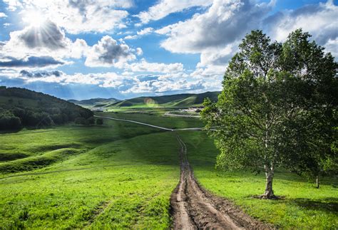Blue Sky Grassland Background Hd Picture Grassland Grass Background Image For Free Download