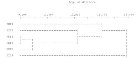 quantitative cluster analysis euclidean distance group average