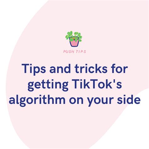 How Does The TikTok Algorithm Work PUSH Fm