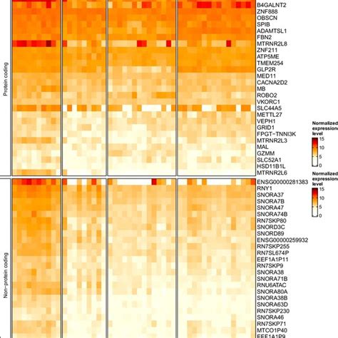 Heatmap Of Selected Genes Of Relevance For Remission Status Heatmaps Download Scientific