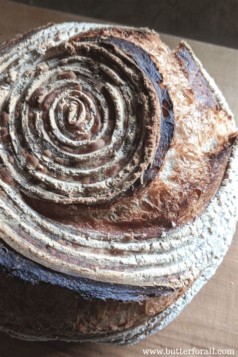 Demystifying Sourdough Everything Youve Ever Wanted To Know About