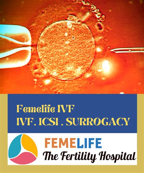 Semen Culture And Sensitivity Test Femelife Ivf