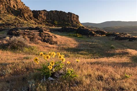 15 Epic Hikes In The Columbia Gorge For All Skill Levels