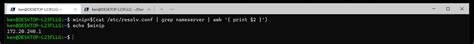 windows terminal ubuntu 20 04 fatal can t open lock file run