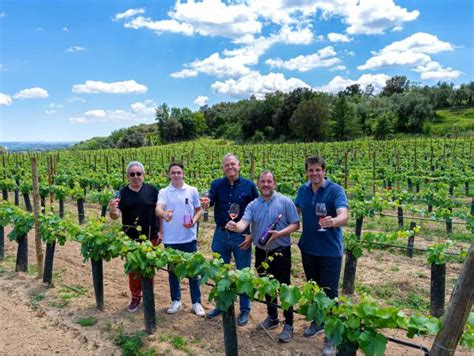 El Vi Dels Romans De Vilauba I De Sant Llop Gemma Busquets Ros Societat El Punt Avui