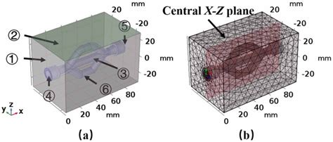 a geometry of vessel mimicking phantom i vmp i in the fsi