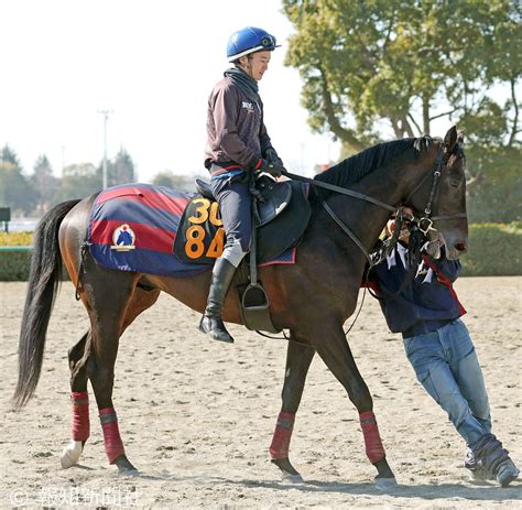ヴィンセンシオ Pog競走馬詳細 馬トクpog Umatoku 馬トク