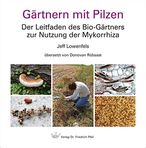 Mykorrhiza Pilz Die 15 Besten Produkte Im Vergleich And Angebote