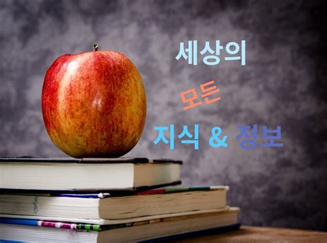 2024년 한국의 행복지수 순위 및 이유