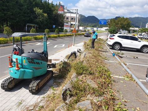 ♪☎농산물품질관리원 화단 제초 및 정원 잡초제거 예초작업 네이버 블로그