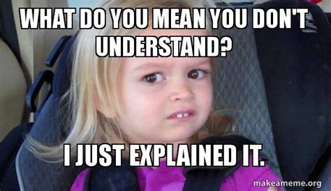 What Do You Mean You Dont Understand I Just Explained It Side Eyes