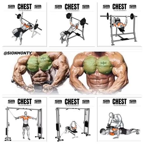 Chest Day 💪🏻 Sionmonty 💪🏻optimise Your Gains With Musclemorph