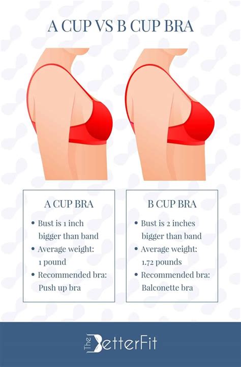 A Cup Vs B Cup Bra Sizes In Review Bra Cups G Cup Bras B Cup