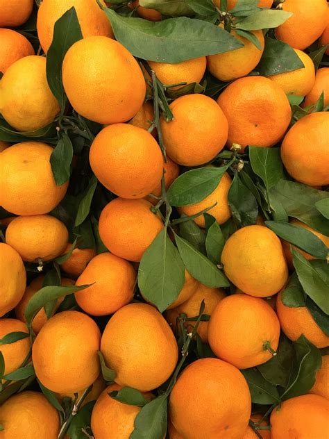 Tangerine Market Fruit Free Photo On Pixabay