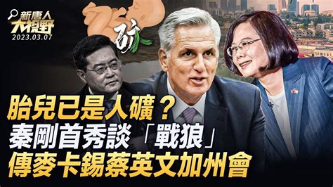 【大视野 关键时】婴儿已是人矿？ 秦刚首秀谈“战狼” 新唐人大视野 婴儿配型 秦刚战狼 新唐人电视台