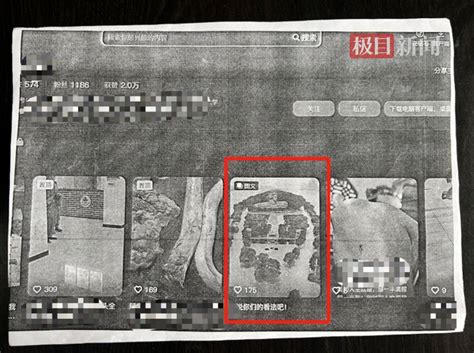 网络发布不实信息，湖北大冶一男子被行政拘留张某某的图片警方