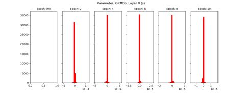 split network clone and autograd pytorch forums