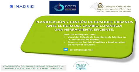 PLANIFICACIÓN Y GESTIÓN DE BOSQUES madrid ingenierosdemontes org wp