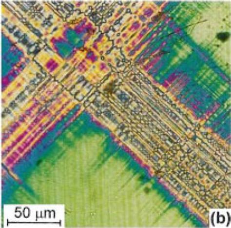 Fine Lamellar Domain Structure In Tetragonal Pmn Pt Observed By
