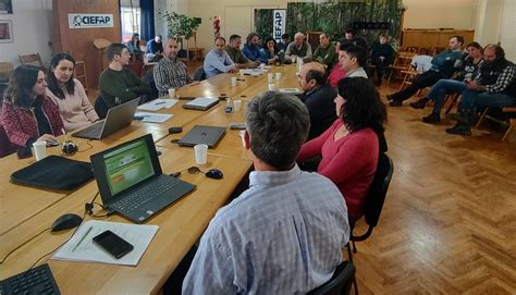 Abren Convocatoria Para Financiar Proyectos De Protección Y Manejo De Bosques Por 174 Millones