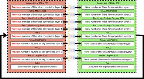 Adjustment Of Convolutional And Hidden Layers Using Type 1 Fuzzy Logic