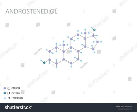 Androstenediol Molecular Skeletal 3d Chemical Formula Stock Vector