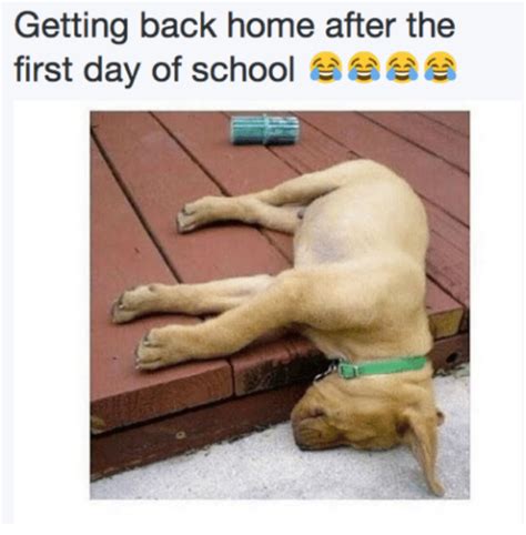 40 School Memes Every Student Will Appreciate Funny School Memes