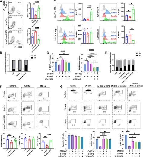 Inhibition Of Inflammatory Responses In Dmφ And Dnk Cells Via