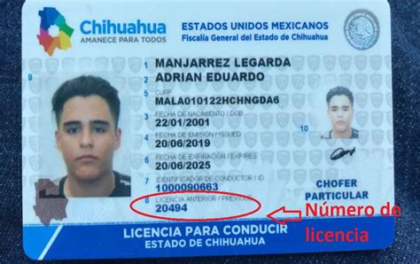 Licencia De Conducir En Chihuahua 2021 Consulta Vehicular