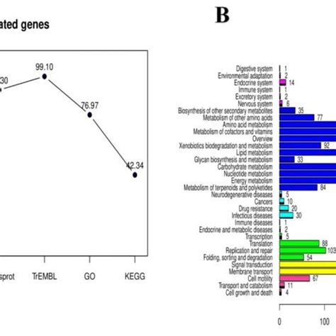 Functional Analysis Of Gene And Protein Sequence Annotations From