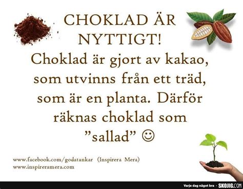 choklad är nyttigt Skämt och de bästa roliga bilderna