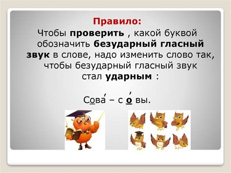 Ударные и безударные гласные звуки Способы проверки написания буквы