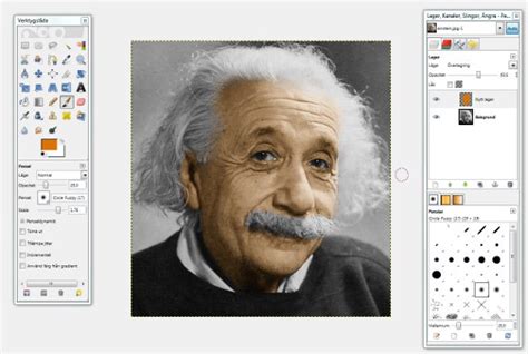 Colorize A Black And White Photo In GIMP Digital Photo Guide